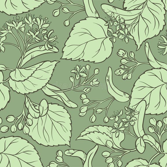 Linde vectorpatroon vector illustratie. Illustration of aroma - 85354031