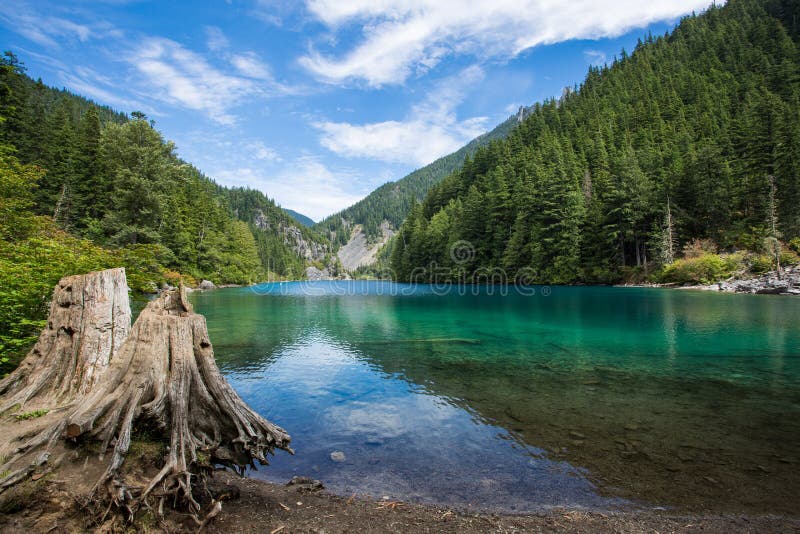 Lindeman Lake Trail stock image. Image of forest, lindeman - 45704407