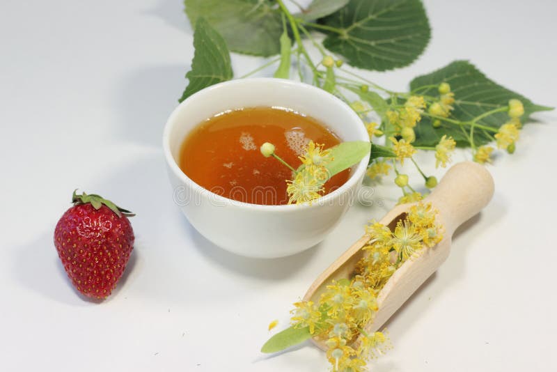 Bee, Honey, Nectar and Pollen Stock Photo - Image of advertising ...