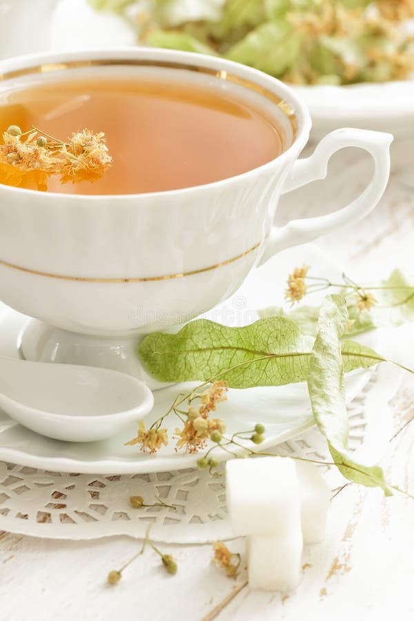 Linden tea stock image. Image of nature, grassy, crockery - 30421265