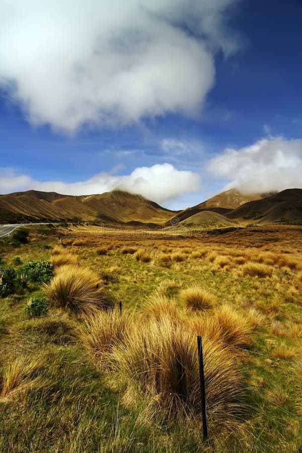 Lindis pass stock image. Image of nature, grass, cloudscape - 21494187