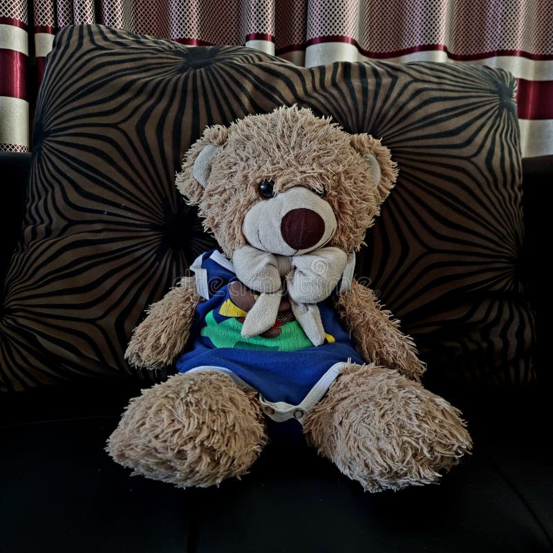 Lindo Oso De Peluche Con Ropa Azul Foto de archivo - Imagen de mascota ...