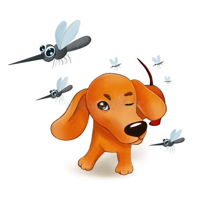 Lindo Perro Dachshund En Problemas Con Los Mosquitos Imagen de archivo ...
