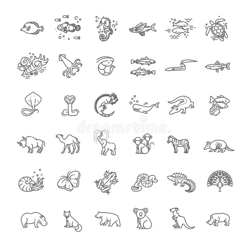 Line Animals Concepts, Vector Icons Set Stock Vector - Illustration of ...