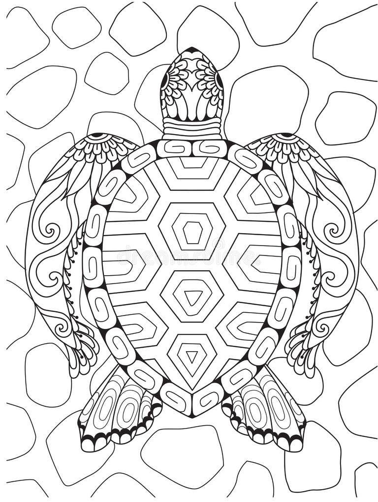 Line Art Turtle Stock Illustrations – 5,487 Line Art Turtle Stock ...