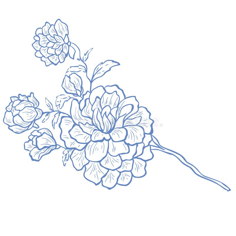 Line Art Blue Flower. stock illustration. Illustration of handdrawn ...