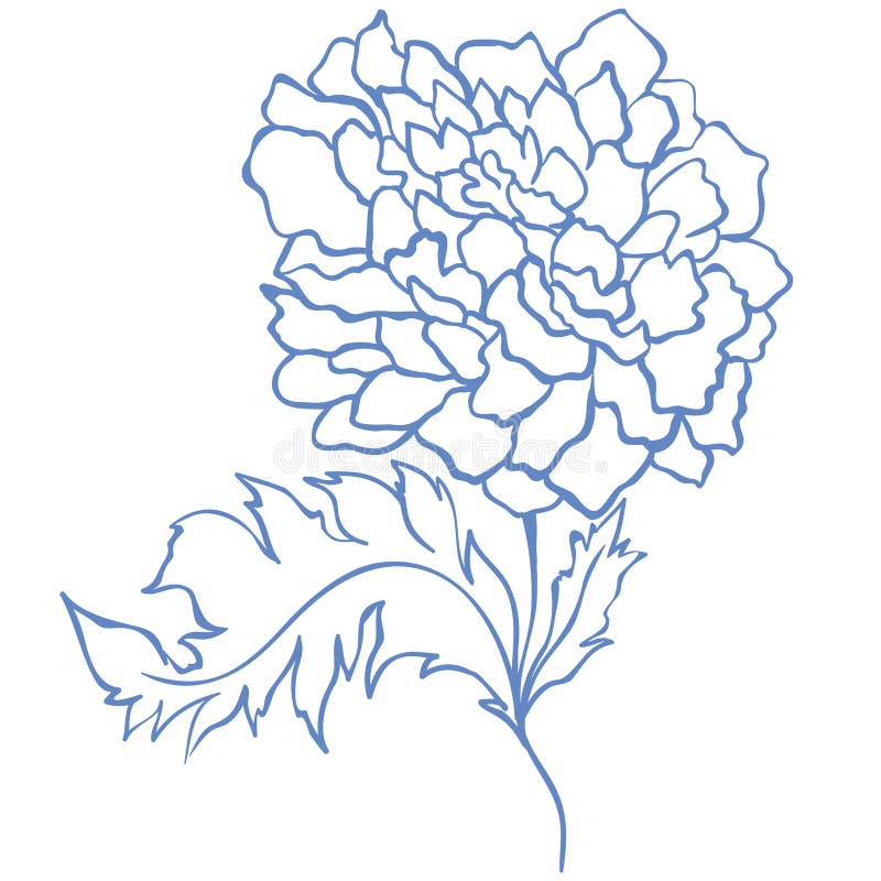 Line Art Blue Flower. stock illustration. Illustration of summer ...