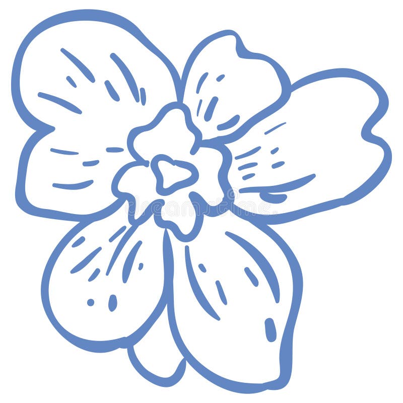 Line Art Blue Flower. stock vector. Illustration of handdrawn - 372219995