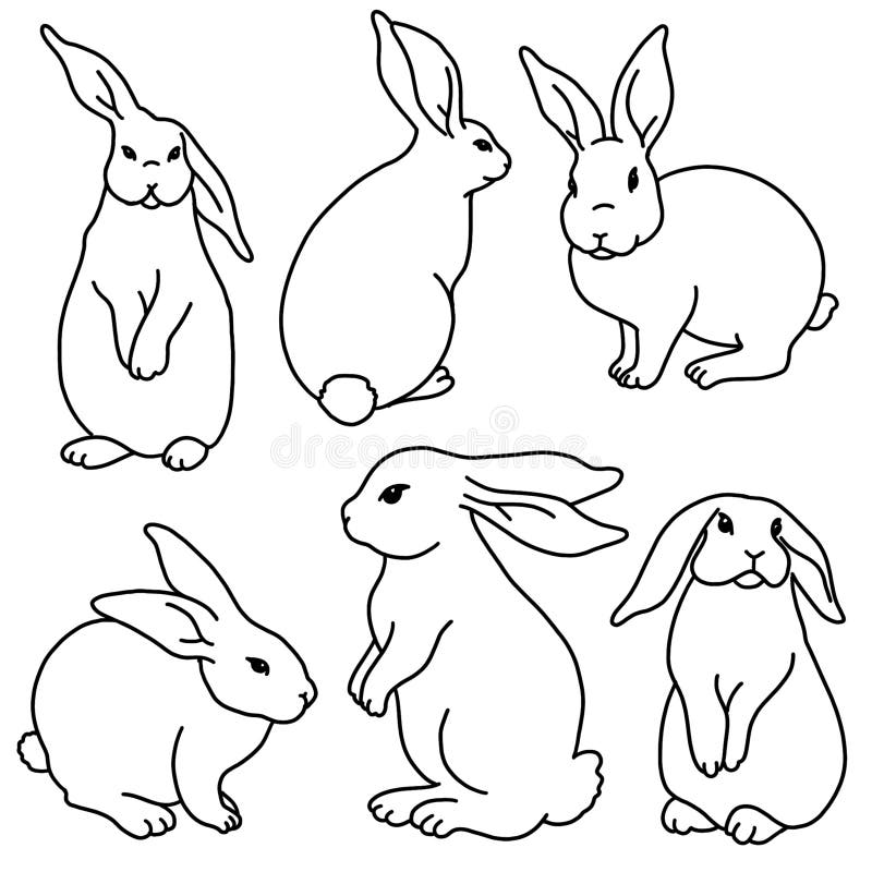Line art bunny rabbit set stock illustration. Illustration of design ...