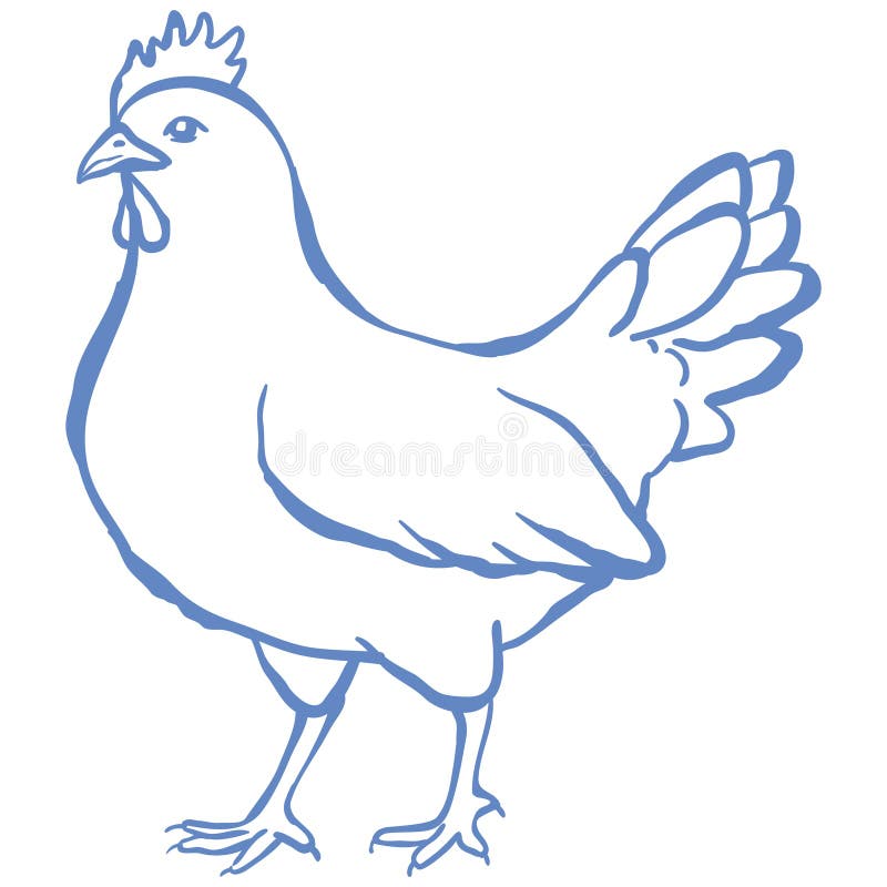 Line Art Chicken. Vector stock illustration. Illustration of easter ...