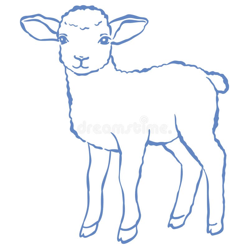 Line Art Cute Lamb. stock vector. Illustration of blue - 366376139