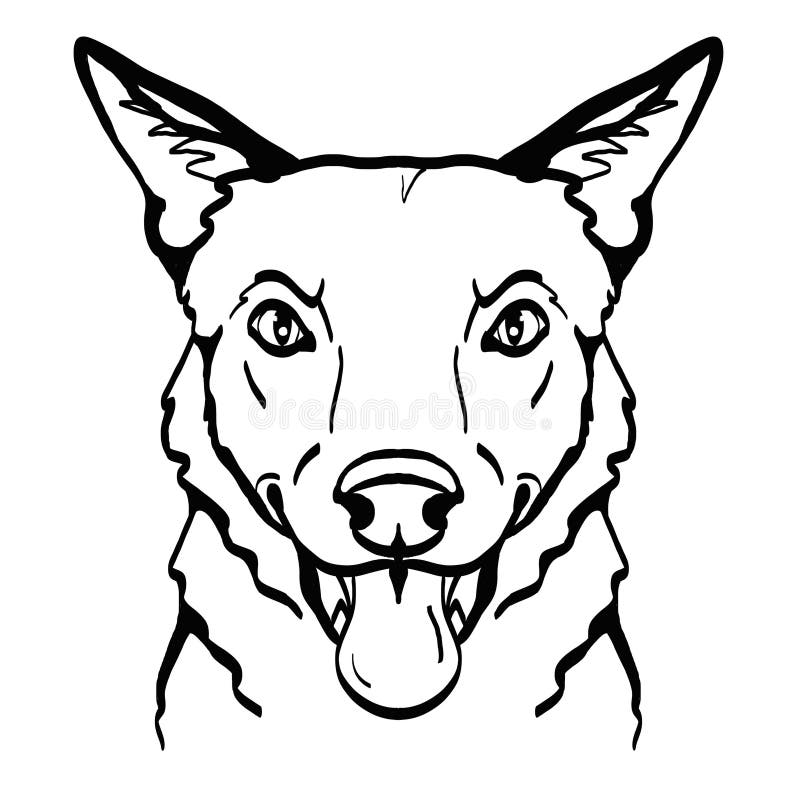 Line art dog head stock image. Illustration of head - 276327569