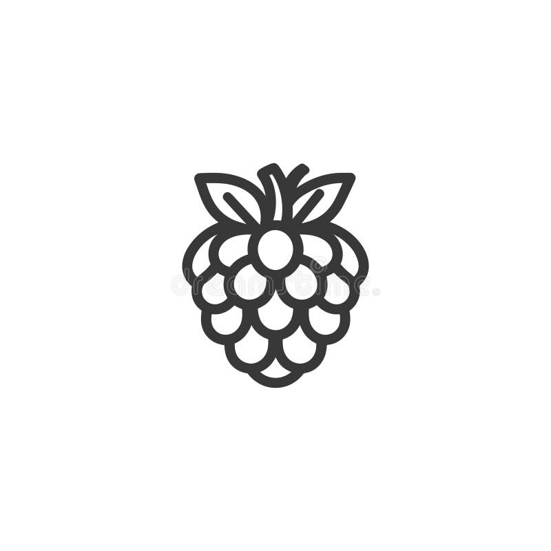 Raspberry Icon