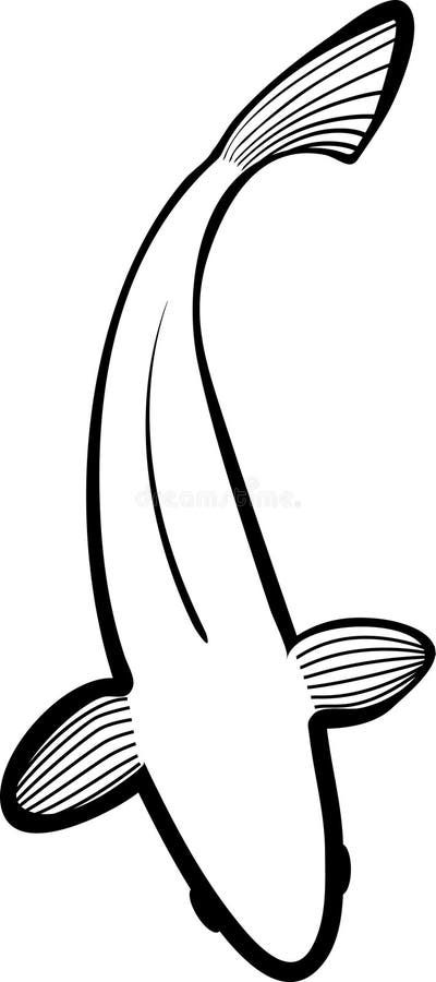 Line Art Koi stock vector. Illustration of swimming, asia - 19547298