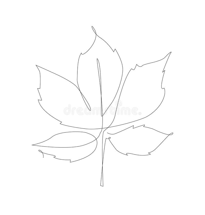 Line Art Maple Leaves Outline Vector Autumn Leaf One Line Illustration Stock Vector