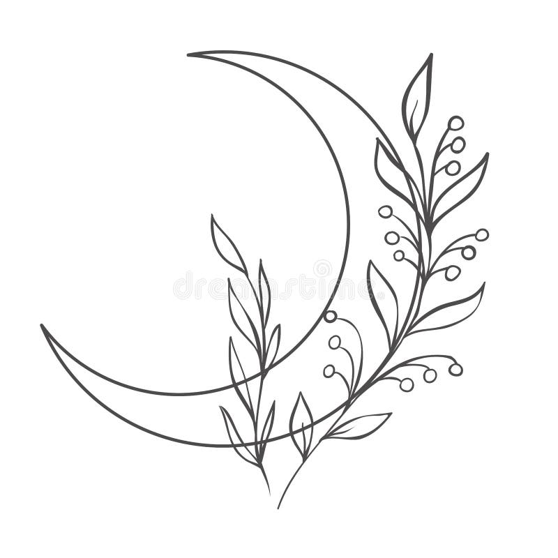 Line Art Moon with Branch on the White Background. Stock Vector ...