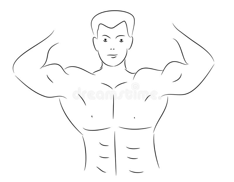 Line Art of a Muscular Bodybuilder Stock Illustration - Illustration of ...
