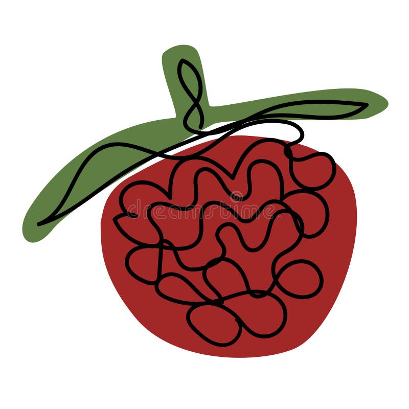 Line Art Raspberry. Vector Illustration. Stock Vector - Illustration of ...