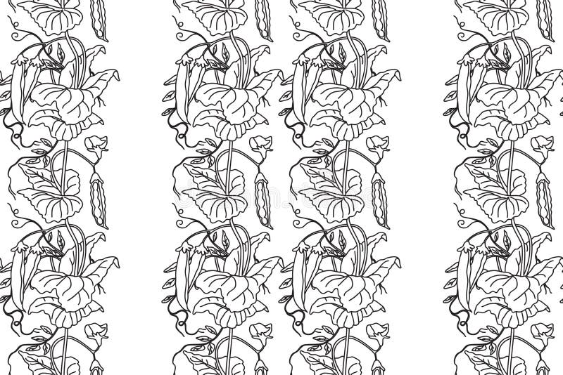 Line Art Seamless Pattern with Growing Peas Vector Illustration. Hand ...