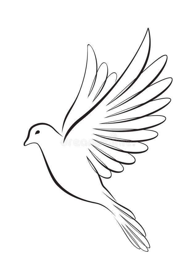 Line art-style flying dove stock vector. Illustration of bride - 63212455