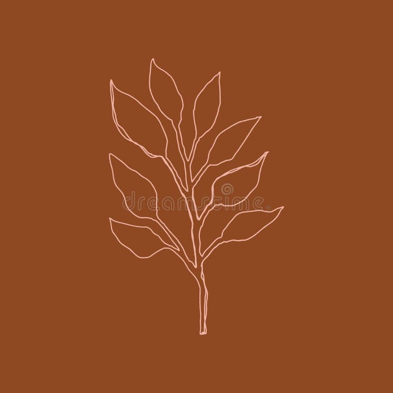 Line Art Terracotta Minimal Simple Leaf Print Design. Stock Vector ...