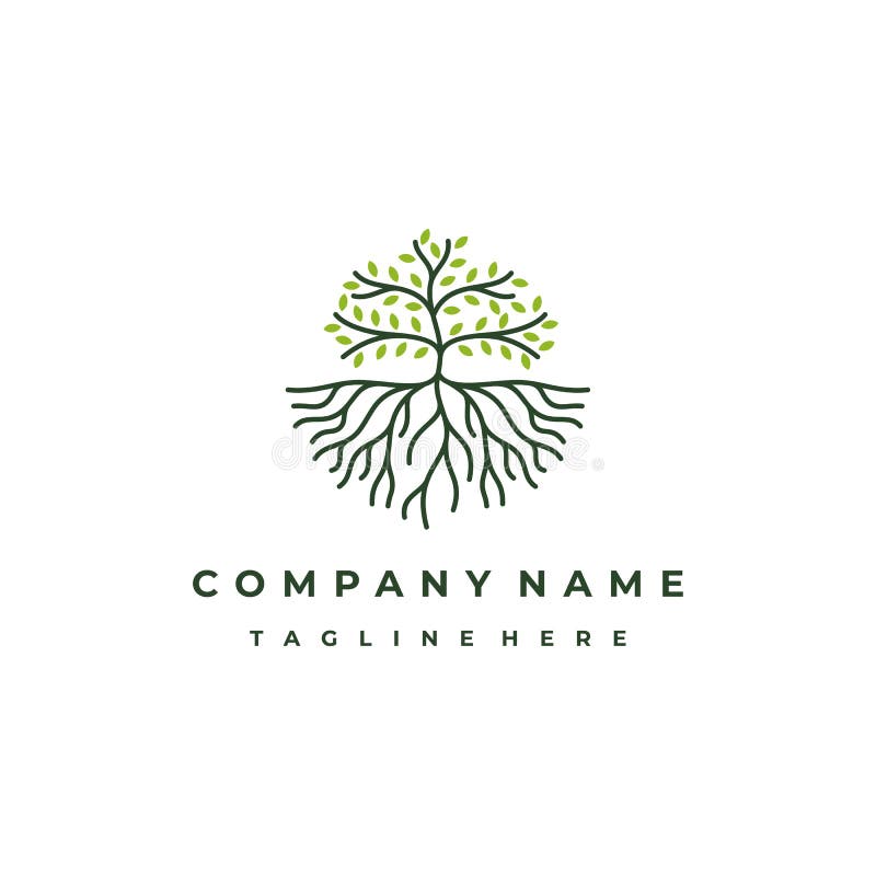 Line Art Tree Logo Design, Tree and Root Vector. Tree of Life Logo ...