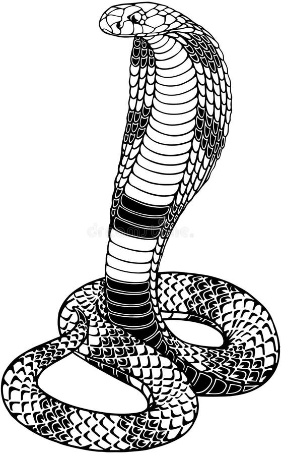 Stylized Cobra Stock Illustrations – 230 Stylized Cobra Stock ...