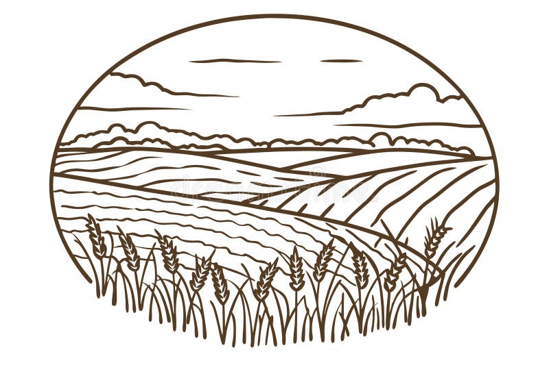 Line Art of Wheat Field with Rolling Hills and Clouds in Countryside ...
