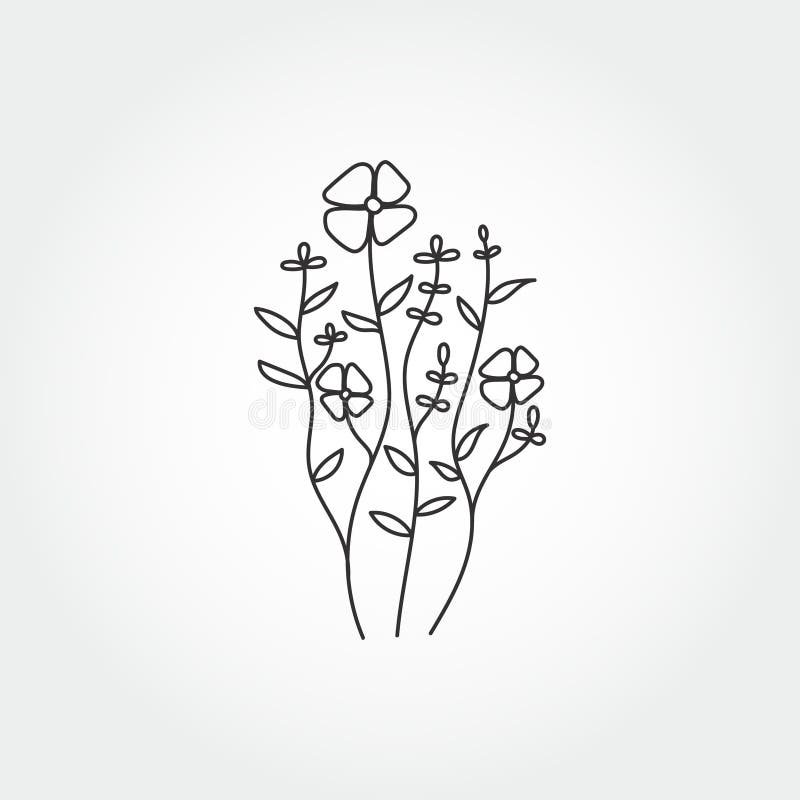 Line Art Wildflowers, Nature Floral, Botany Design Vector Stock ...