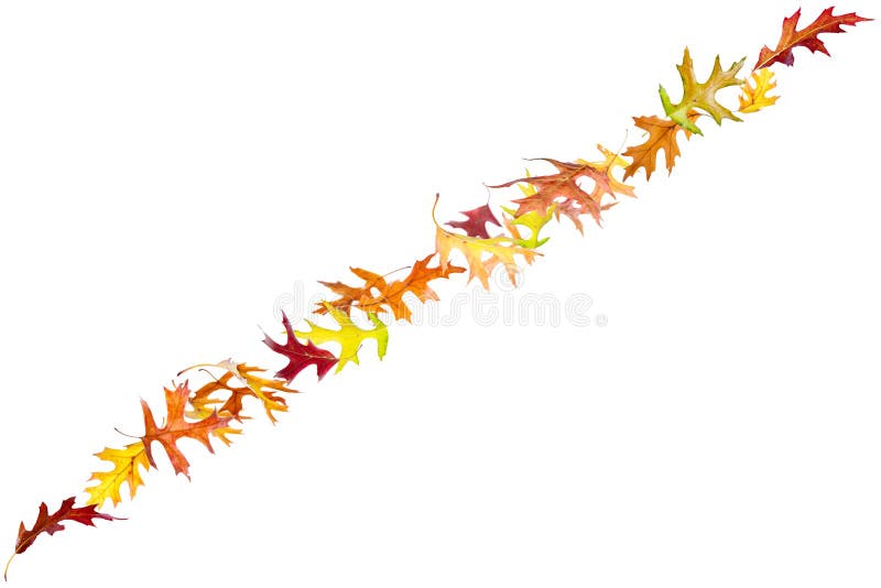 Autumn falling leaves stock photo. Image of nature, colorful - 27315222