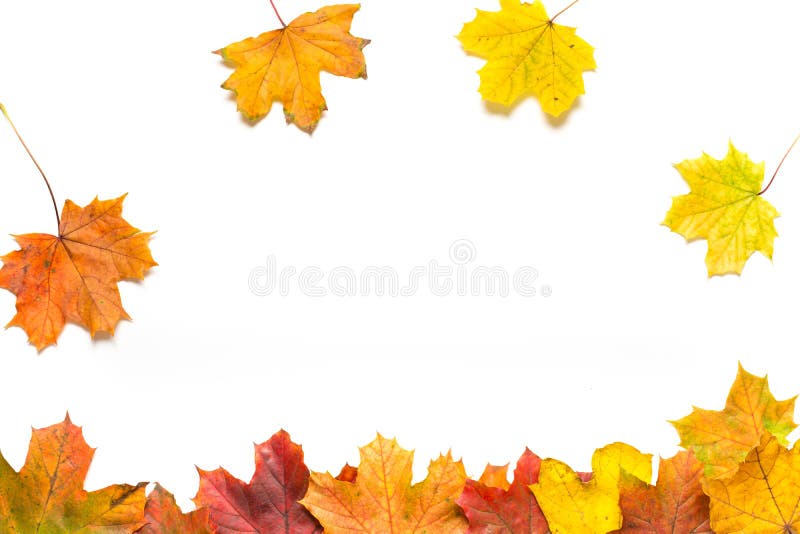 Line of Autumn Leaves with Falling Leaves on a White Background Stock ...