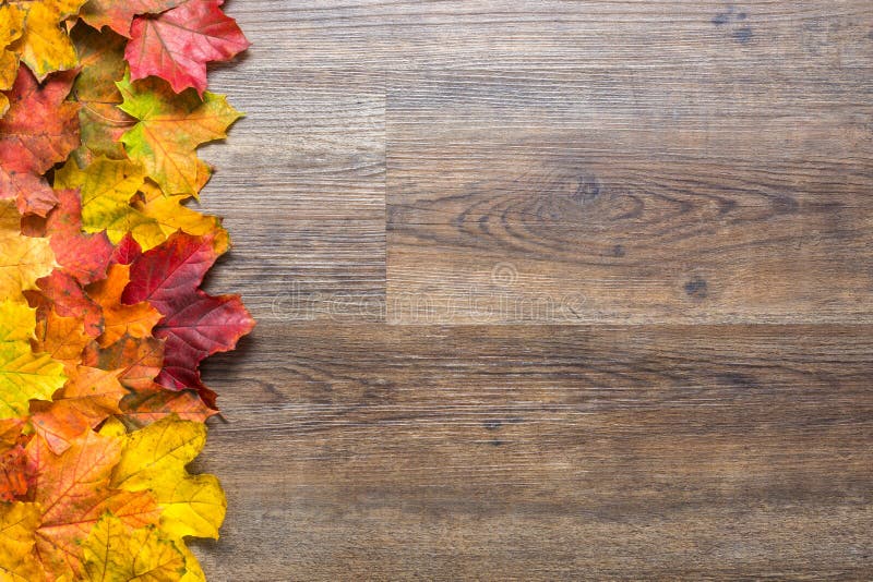 Line of Autumn Leaves on the Left on a Wooden Background Stock Image ...
