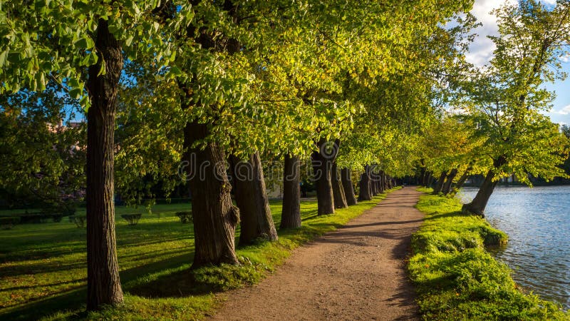 Line of Autumn Trees Near the Pond. Stock Photo - Image of shore ...