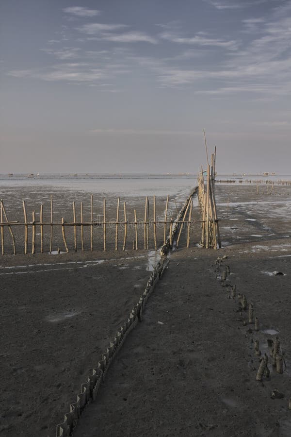 Line of Bamboo Fence stock image. Image of forest, plant - 70124823