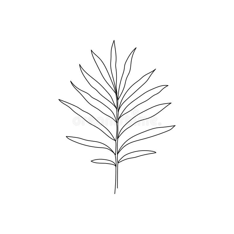 Line Bay Laurel Leaf Branch Art. One Continuous Line Art Decorative Bay ...