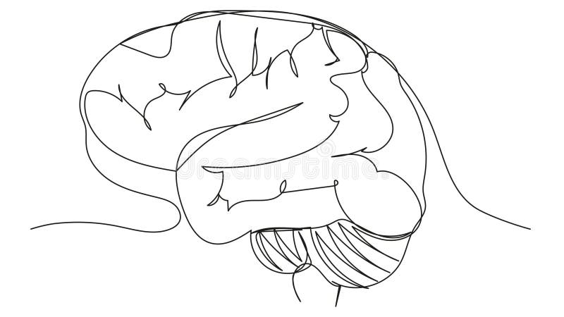 Line brain stock video. Video of solution, brain, doodle - 225075453