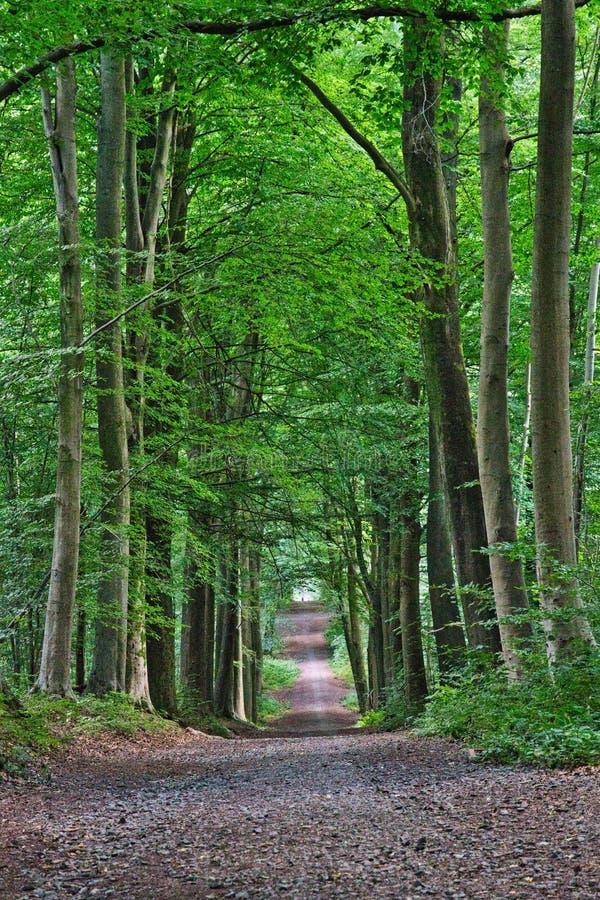 Midsumm Stock Photos - Free & Royalty-Free Stock Photos from Dreamstime