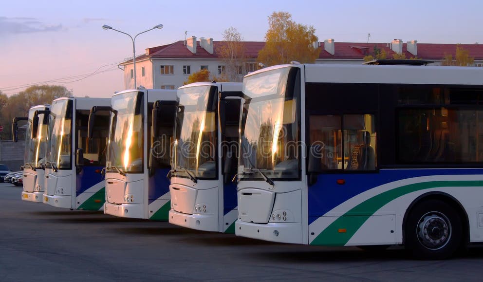 Line of buses stock photo. Image of roadside, sunrise - 17277850