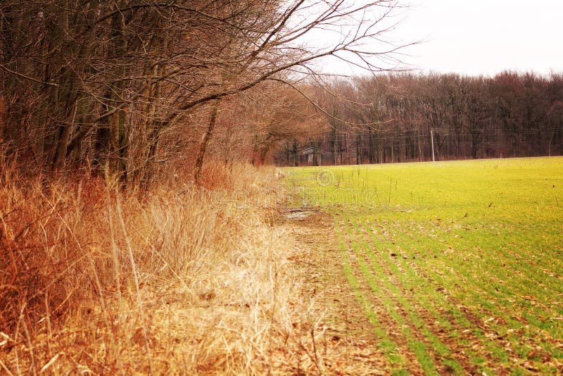 The nature divide stock image. Image of line, wild, brush - 249403039