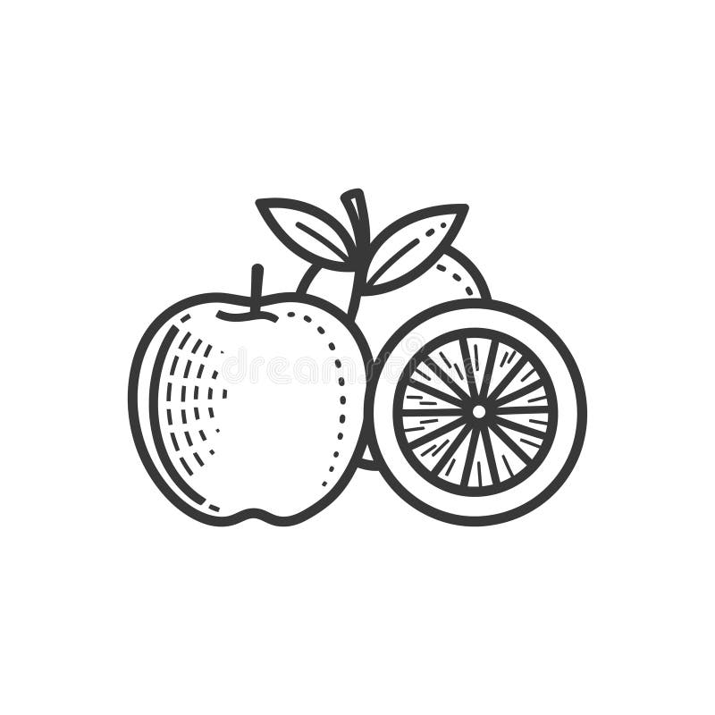Apple and Orange Line Art Illustration, Fresh Fruit Design Stock Vector ...