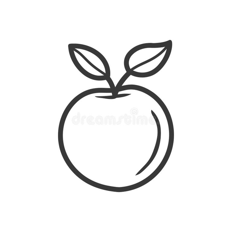 Simple Line Drawing of an Apple with Leaves Stock Vector - Illustration ...