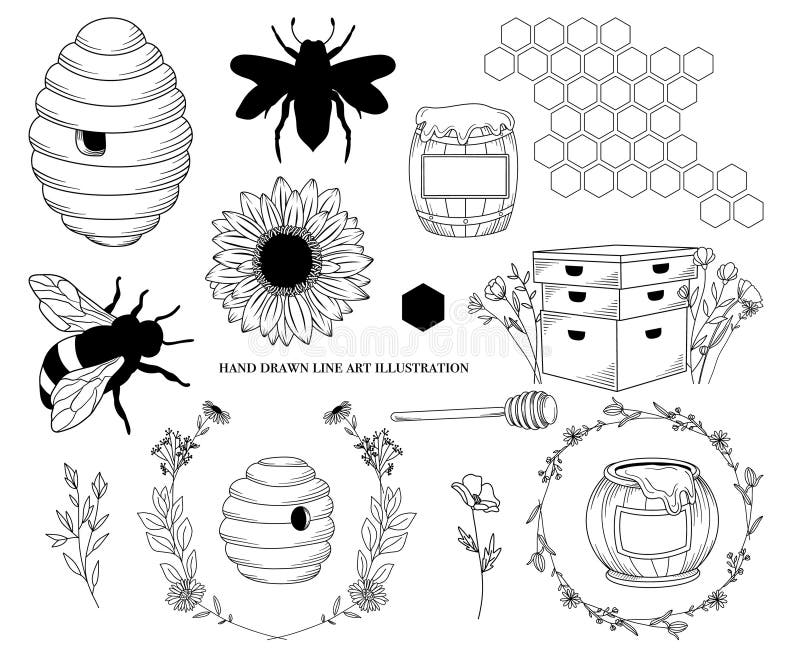 Line Drawing Bee, Honey, Beehive, Beekeeping Graphic Set, Hand Drawn ...