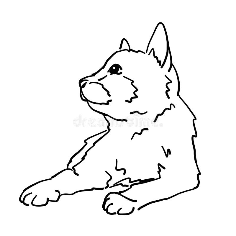 Line drawing cat stock photo. Illustration of artwork - 278999638