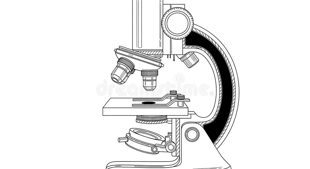 Line Drawing of a Classic Optical Microscope Depicting Various ...