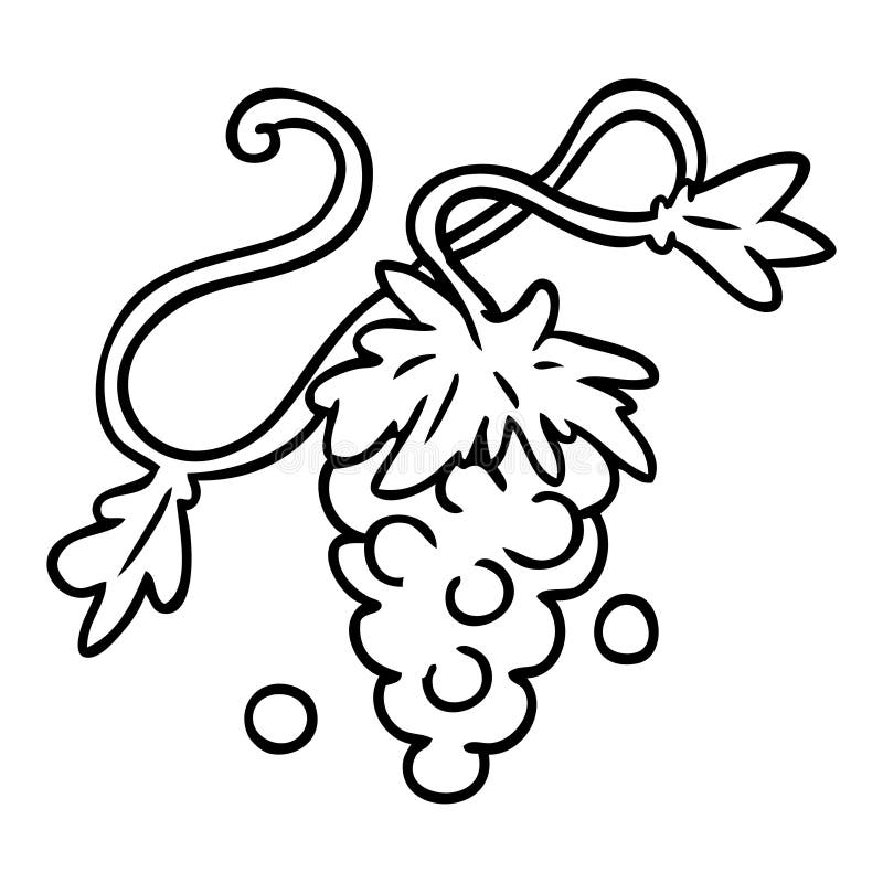 Line Drawing Doodle of Grapes on Vine Stock Vector - Illustration of ...