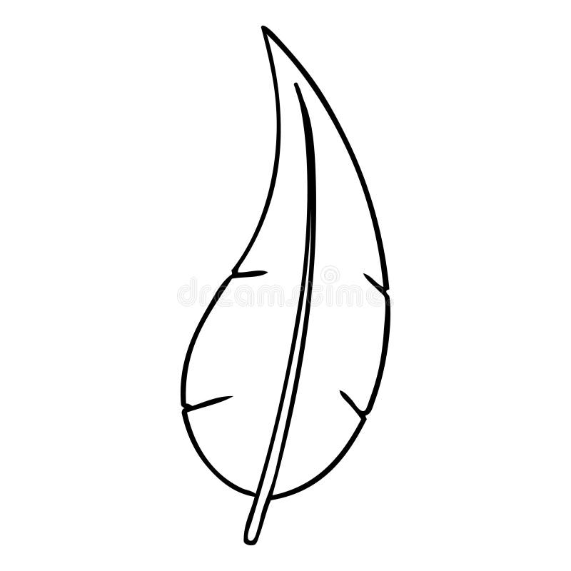 Long Leaf Stock Illustrations – 6,751 Long Leaf Stock Illustrations ...