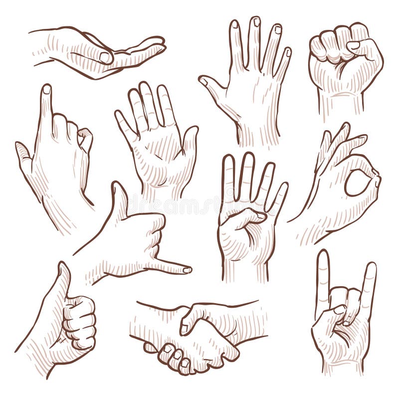Line Drawing Doodle Hands Showing Common Signs Vector Collection Stock ...