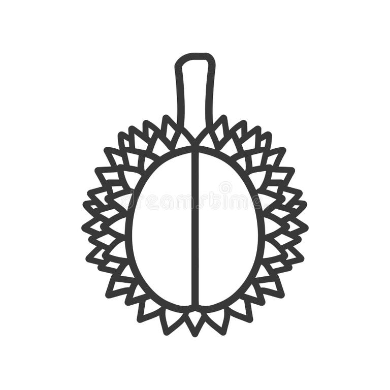 Durian Fruit Line Art: Tropical Asian Dessert Icon Stock Vector ...