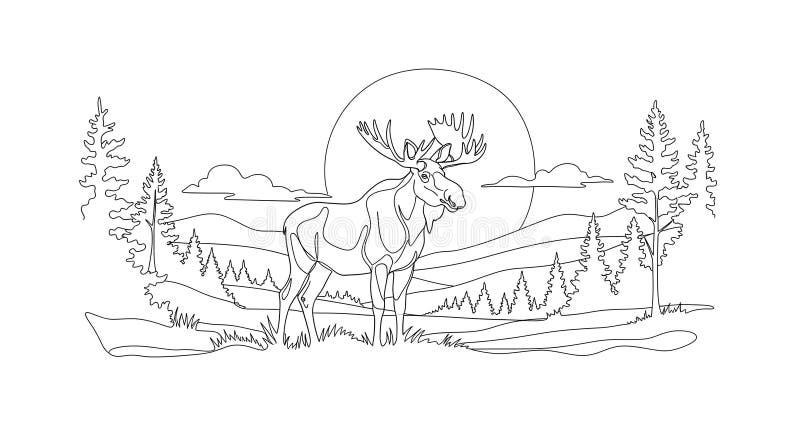 A Line Drawing Features a Moose (Alces Alces) Standing in a Natural ...