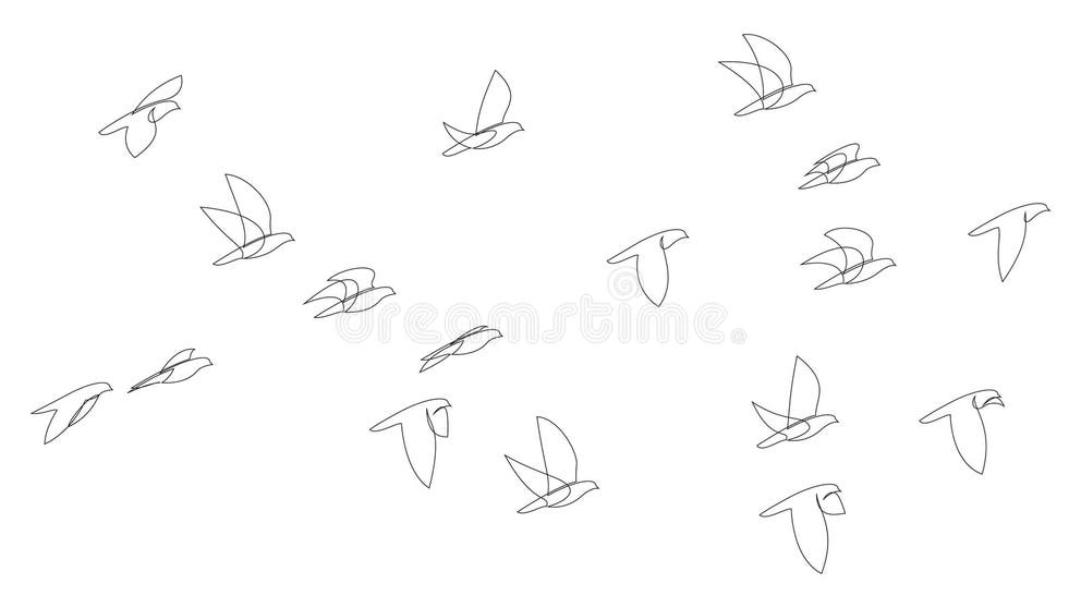 Line Drawing of Flock of Birds Flying Together. Vector Illustration ...